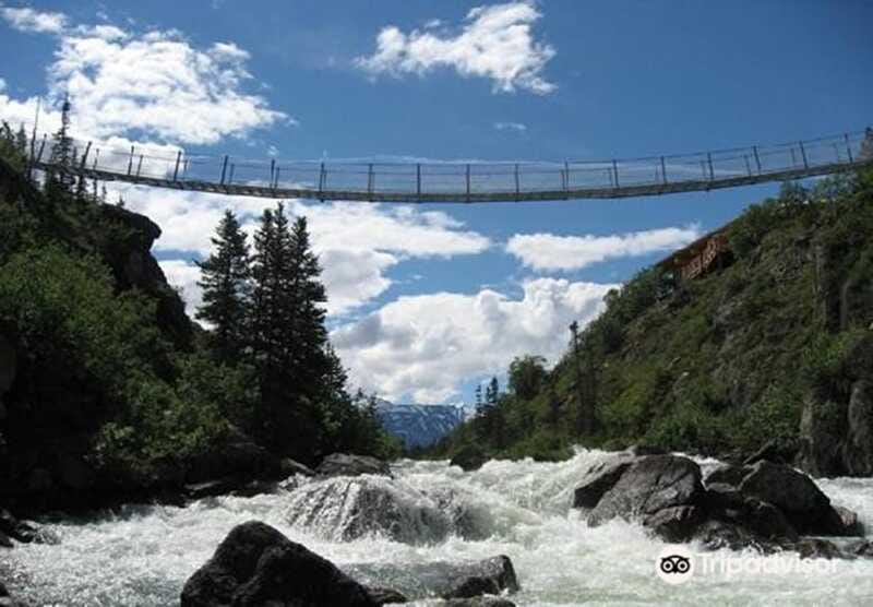 From Skagway: White Pass and Yukon Suspension Bridge Tour - The Outdoor Interpretive Museum and Gold Rush Stories
