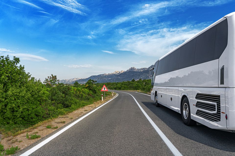 From Skagway: White Pass Summit Guided Bus Tour - Key Points  