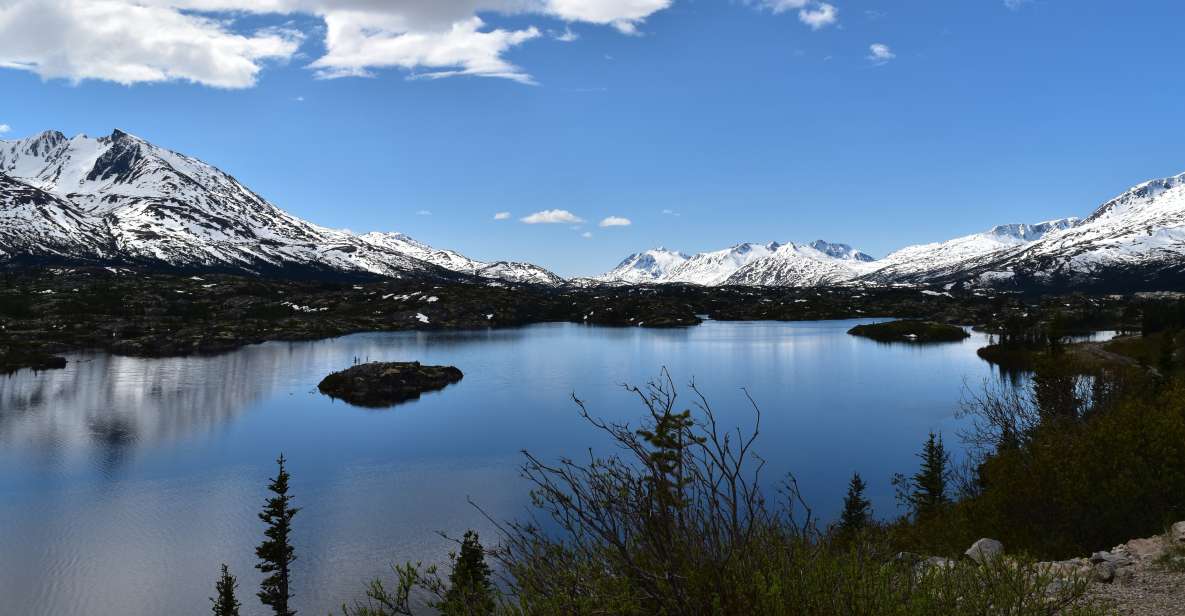 From Skagway: White Pass Summit Guided Bus Tour - An In-Depth Look at the Tour Experience