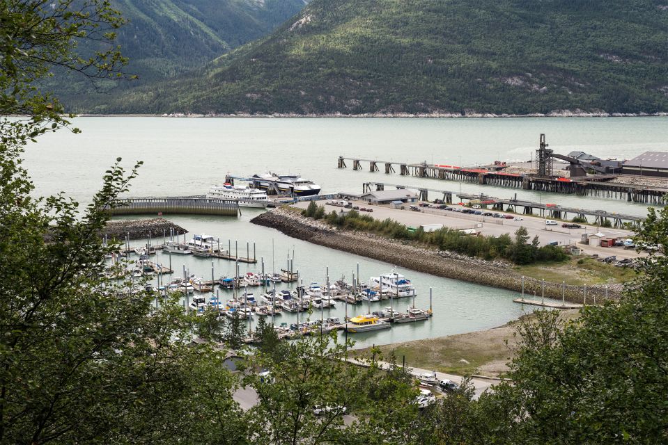 From Skagway: White Pass Summit Guided Bus Tour - Final Thoughts: Is It Worth It?