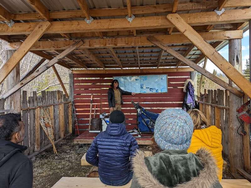 From Skagway: Yukon Sled Dog Mushing & White Pass Combo - Who Should Consider This Tour?