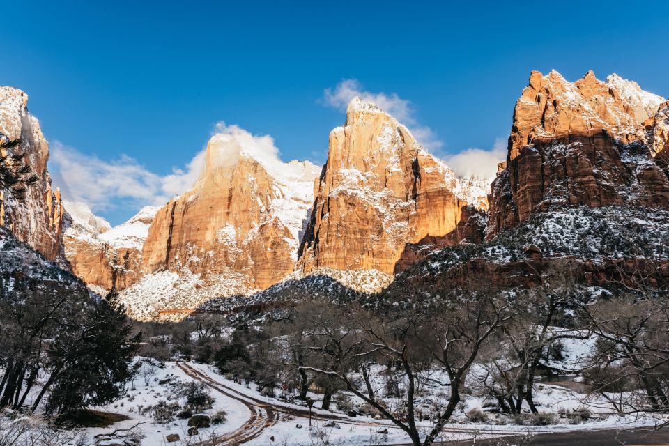 From Springdale: 4-hour Zion Canyon Scenic Hiking Tour - Practical Details: What You Need to Know