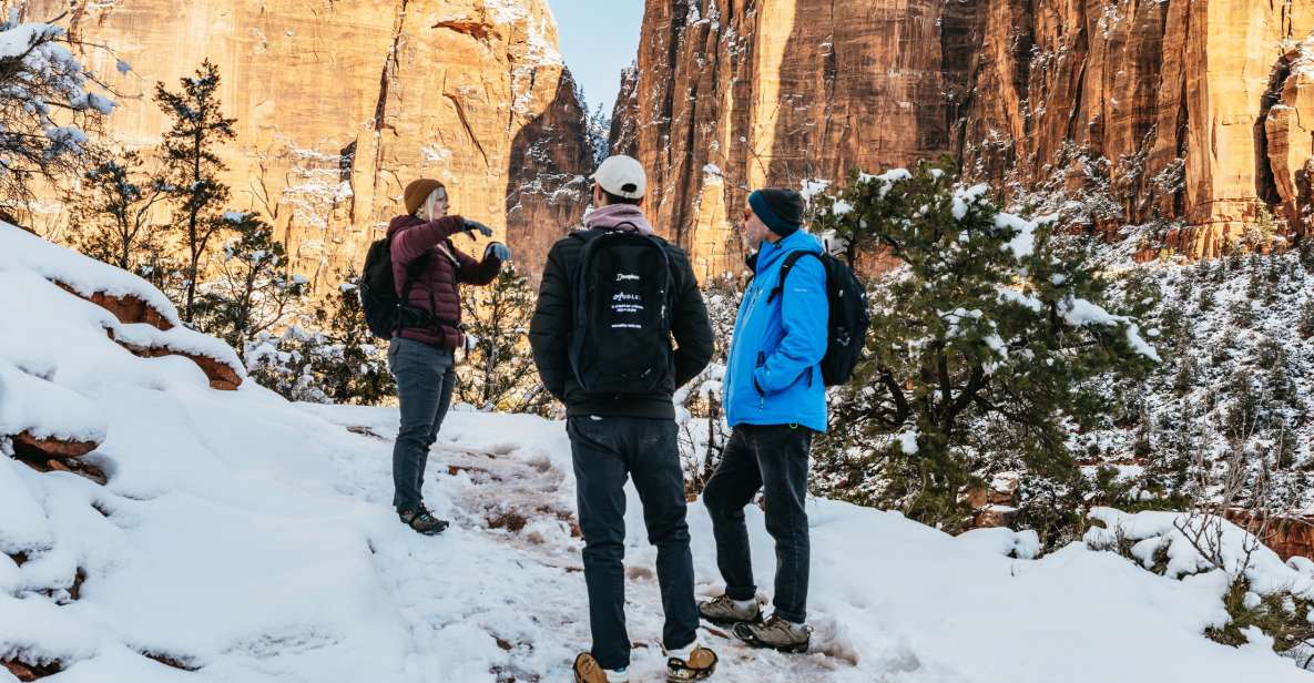 From Springdale: 4-hour Zion Canyon Scenic Hiking Tour - Authentic Experiences from Reviews