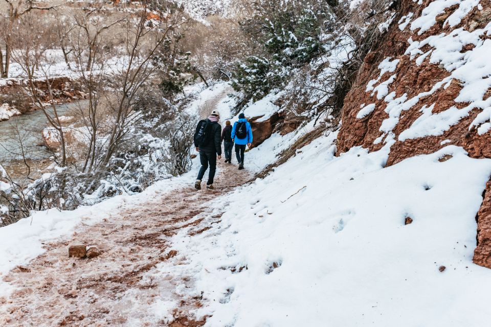 From Springdale: 4-hour Zion Canyon Scenic Hiking Tour - Who Is This Tour Best Suited For?