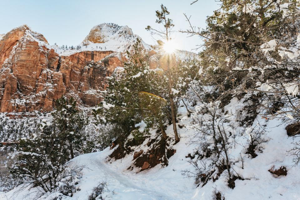 From Springdale: 4-hour Zion Canyon Scenic Hiking Tour - Final Thoughts