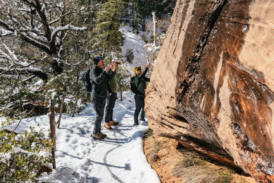 From Springdale: 4-hour Zion Canyon Scenic Hiking Tour - FAQ