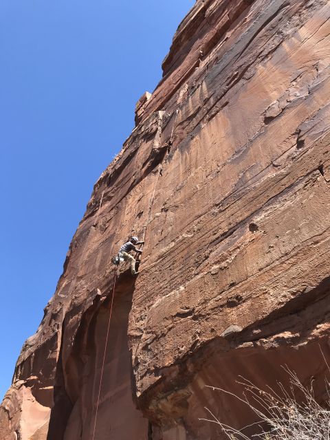 From Springdale: Half-Day Rock Climbing Experience - What You Can Expect from the Tour