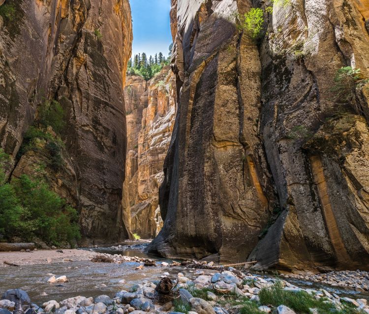 From Springdale: The Zion Narrows Hike with Lunch - The Scenic Highlights