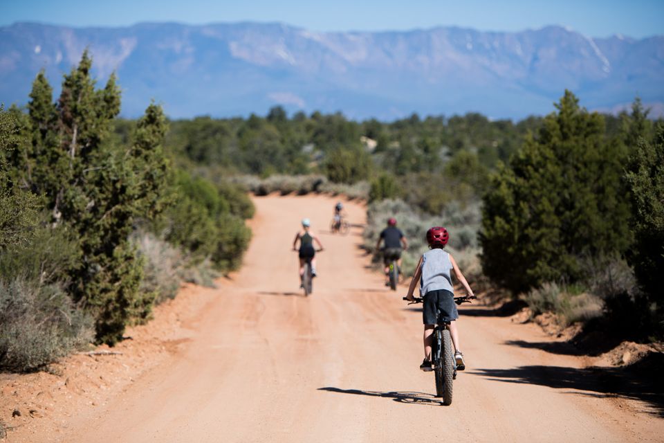 From Springdale: Zion National Park Bike Tour - Key Points