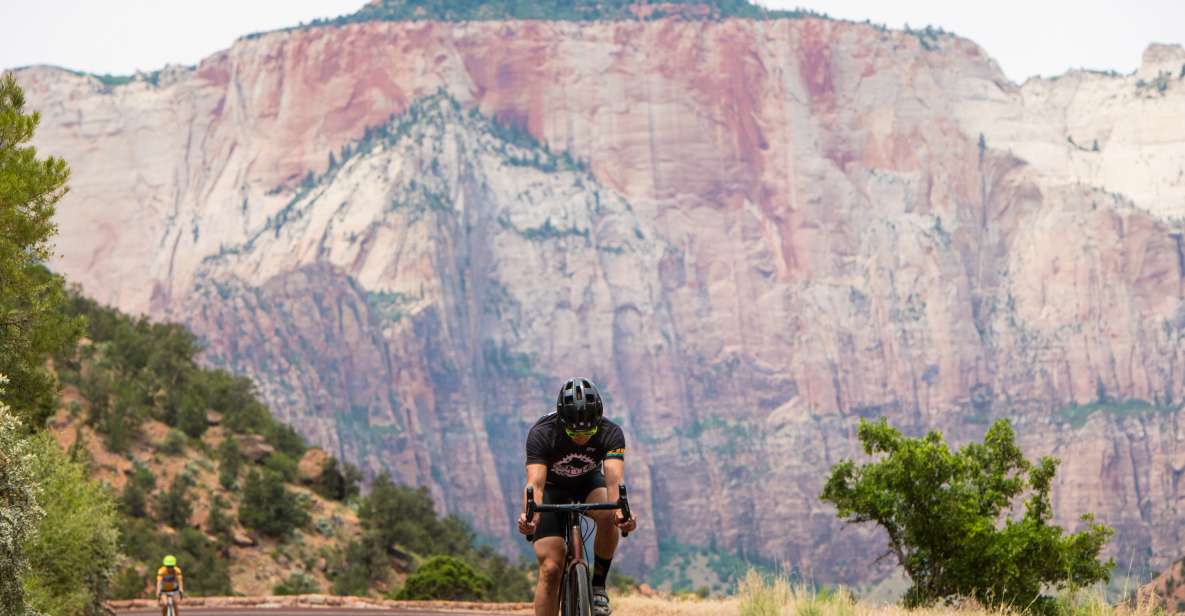 From Springdale: Zion National Park Bike Tour - Who Will Love This Tour?