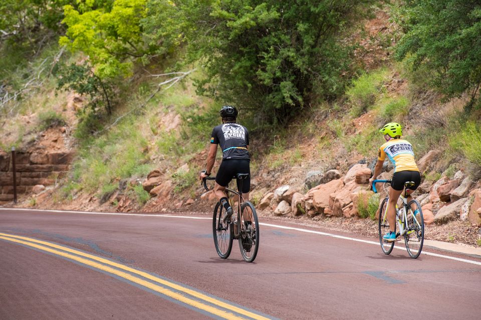 From Springdale: Zion National Park Bike Tour - Why Choose This Tour?