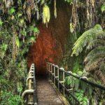 From the Big Island: Hawaii Volcanoes National Park Tour - Practical Details and Value