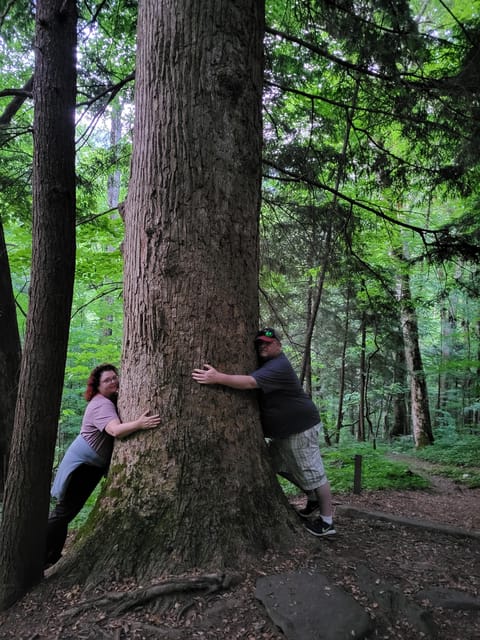 From Townsend: Great Smoky Mountains National Park Hiking - Final Thoughts: Who Should Consider This Tour?