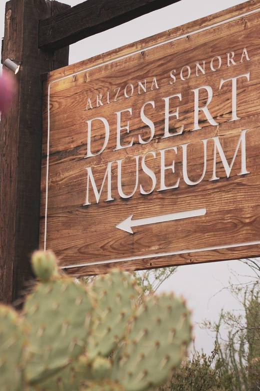 From Tucson: Sonoran Desert with Desert Museum Ticket - A Detailed Look at the Tour Experience