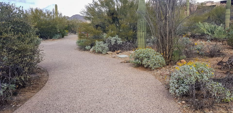 From Tucson: Sonoran Desert with Desert Museum Ticket - FAQ
