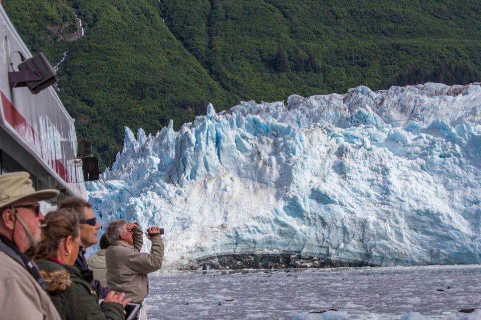 From Valdez: 7.5-hour Meares Glacier & Wildlife Cruise - An In-Depth Look at the Itinerary and Experience