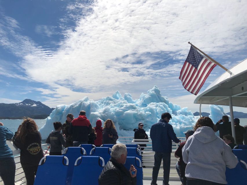 From Valdez: 7.5-hour Meares Glacier & Wildlife Cruise - Practical Tips and Considerations