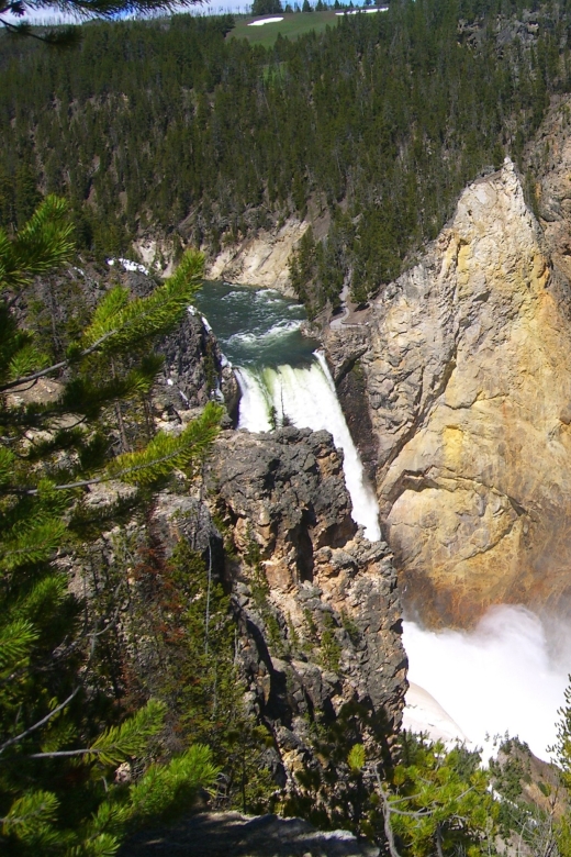 From Vegas: Yellowstone, Yosemite, and Rockies 11-Day Tour - Yellowstone: The Crown Jewel of American Parks