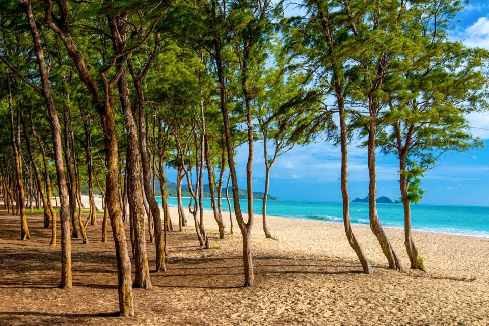 From Waikiki: Best of Oahu Photo Tour with Pickup - Practical Details: What You Should Know
