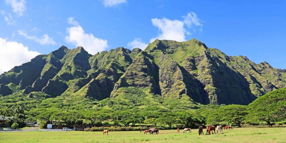 From Waikiki: Circle Island Tour - Starting Point and Duration
