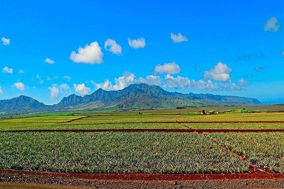 From Waikiki: Oahu Grand Circle Island Experience - Exploring the Oahu Grand Circle Island Tour