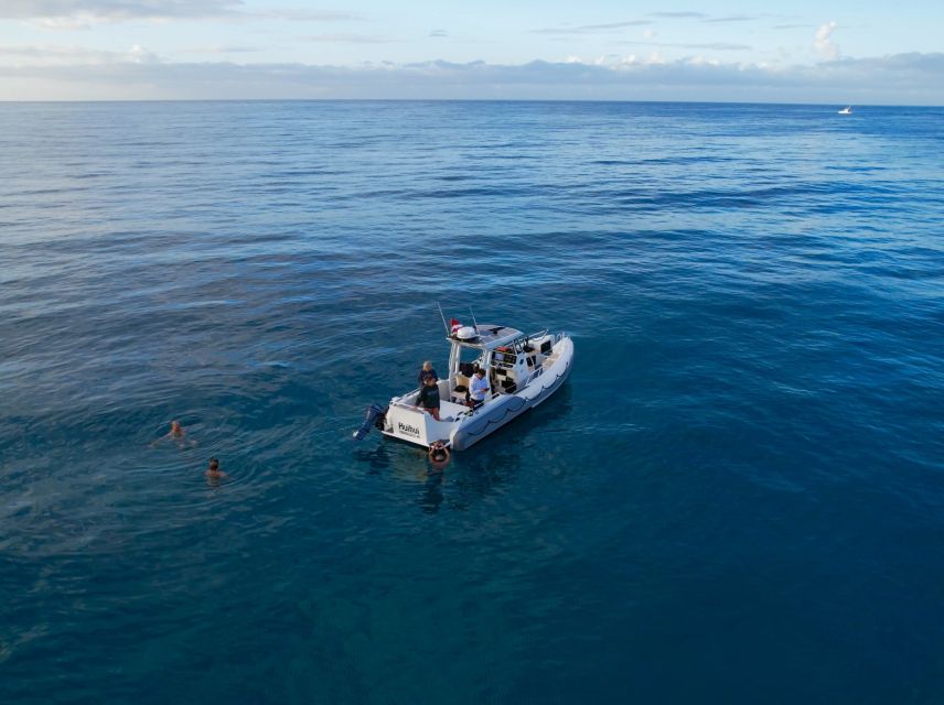 From Waikiki: Turtle Canyon Snorkeling Tour - Who will love this tour?  