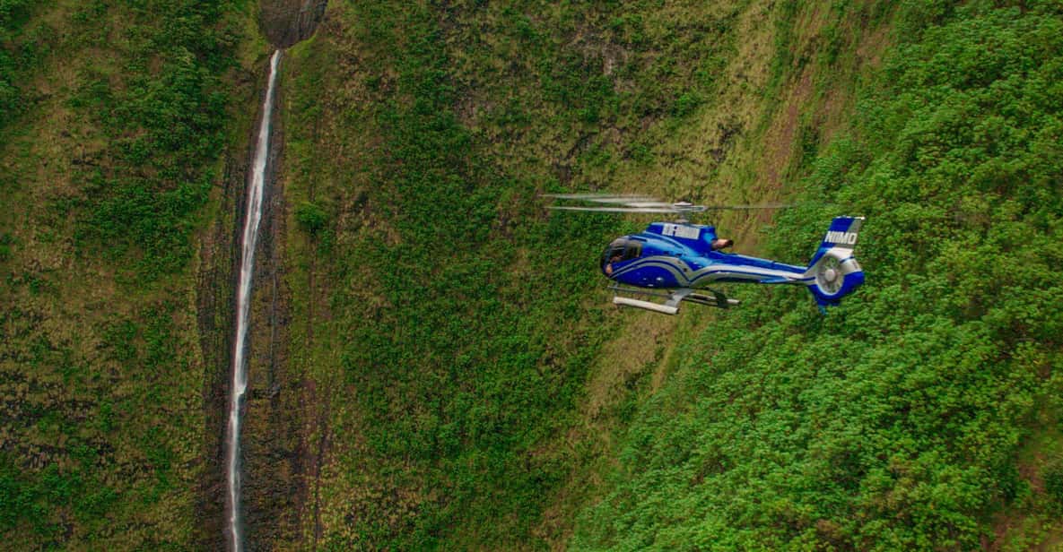 From Waikoloa: Kohala Coast Helicopter Adventure - The Experience of Flying in an Eco-Star Helicopter