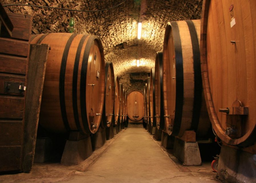 From Washington, DC: Virginia Wine Country Private Day-Trip - An In-Depth Look at the Virginia Wine Country Private Day-Trip
