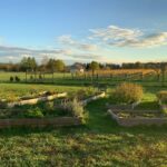 From Washington, DC: Virginia Wine Country Private Day-Trip - Who Will Love This Tour?