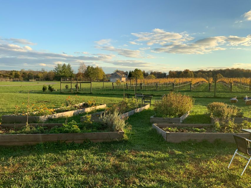 From Washington, DC: Virginia Wine Country Private Day-Trip - Who Will Love This Tour?