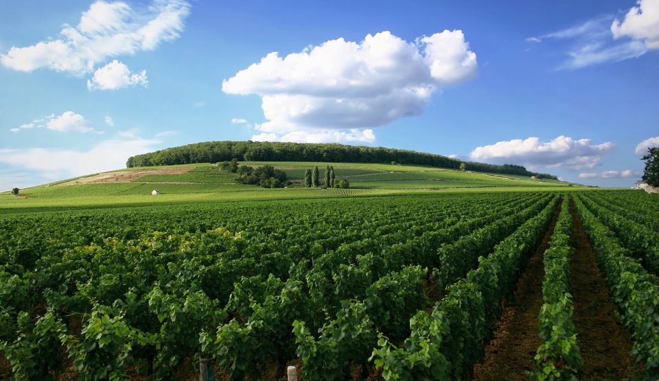 From Washington, DC: Virginia Wine Country Private Day-Trip - Frequently Asked Questions
