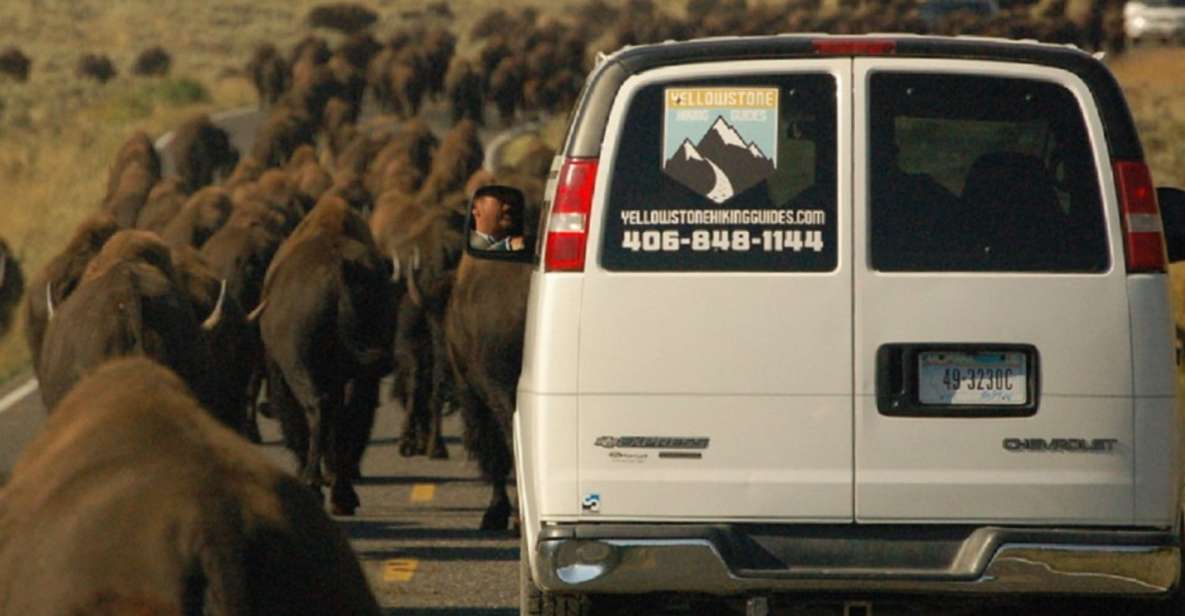 From West Yellowstone: Lamar Valley Wildlife Tour by Van - Who Should Consider This Tour?