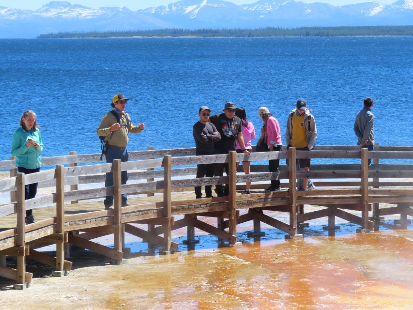 From West Yellowstone: Lower Loop Active Van Tour - Practical Considerations