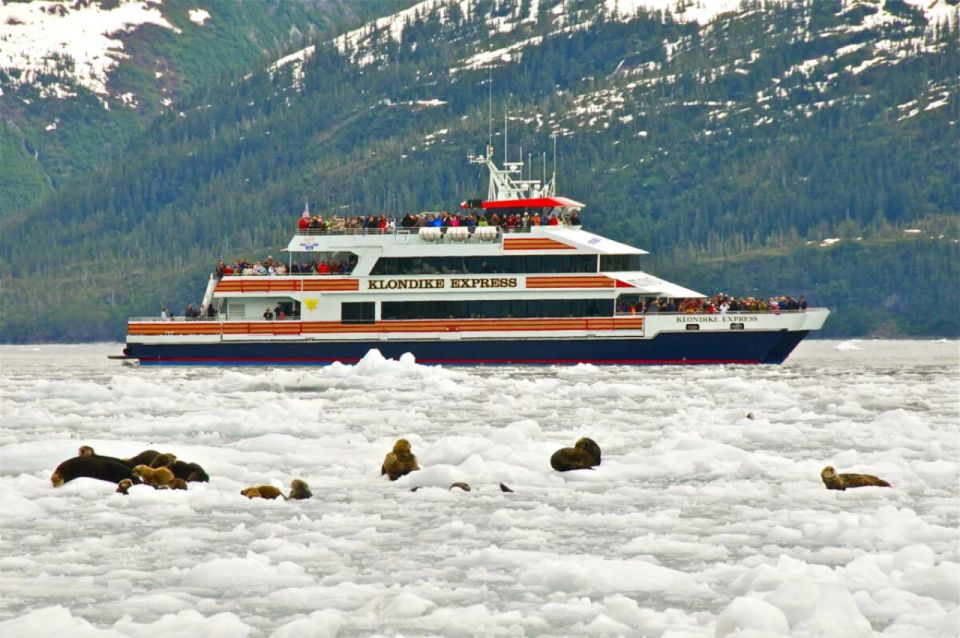From Whittier/Anchorage: Prince William Sound Glacier Cruise - An In-Depth Look at the Experience
