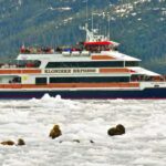 From Whittier/Anchorage: Prince William Sound Glacier Cruise - Why This Tour Offers Great Value