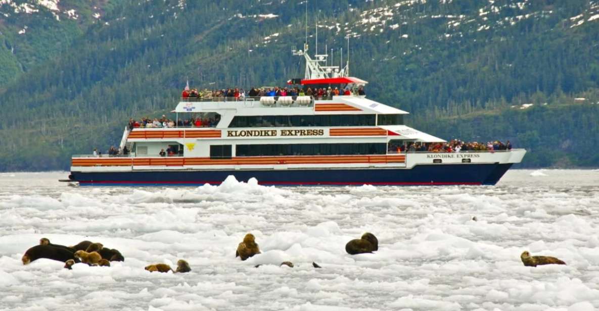 From Whittier/Anchorage: Prince William Sound Glacier Cruise - Why This Tour Offers Great Value