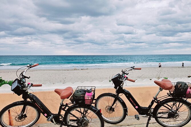 Ft. Lauderdale Brightline Train to Palm Beach & 3hr Ebike Rental - Final Thoughts