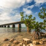 Ft. Lauderdale to Key West Day Trip Quality Day Tours - What’s Included and What’s Not?