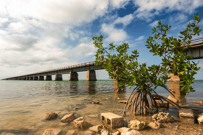 Ft. Lauderdale to Key West Day Trip Quality Day Tours - What’s Included and What’s Not?