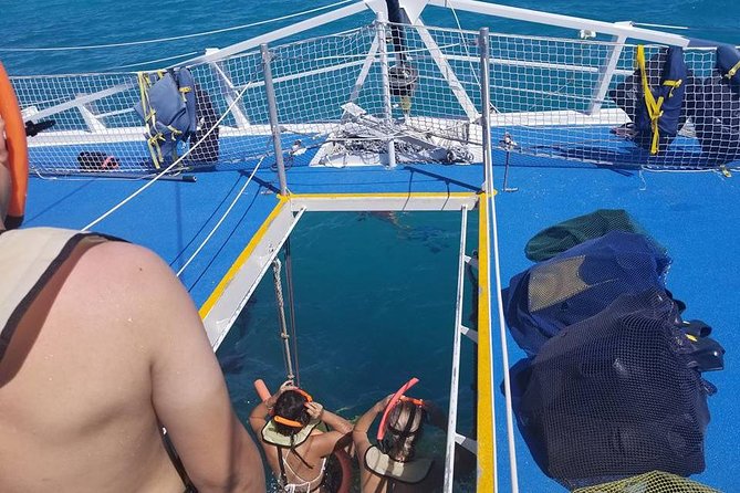 Ft Lauderdale to Key West with Optional Activities - Transportation and Group Size: What to Expect
