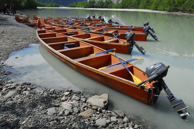 Full-Day Alaska Wildlife Voyageur Canoe Safari from Skagway - Who Would Love This Tour?