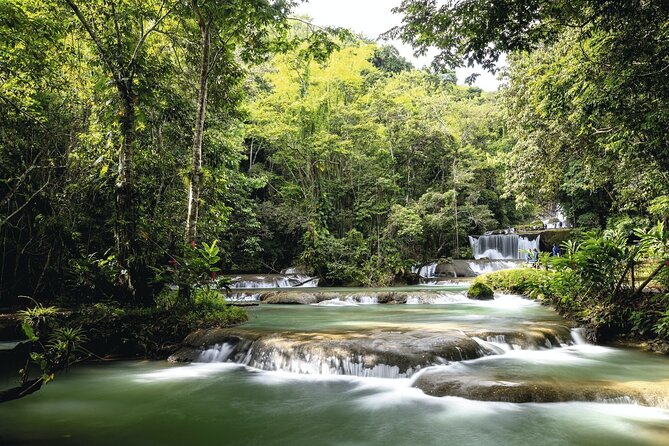 Full Day Appleton Rum YS Falls & Pelican Bar Group Tour - Exploring the Itinerary in Detail