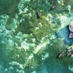 Full Day Appleton Rum YS Falls & Pelican Bar Group Tour - The Practical Details