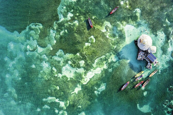 Full Day Appleton Rum YS Falls & Pelican Bar Group Tour - The Practical Details