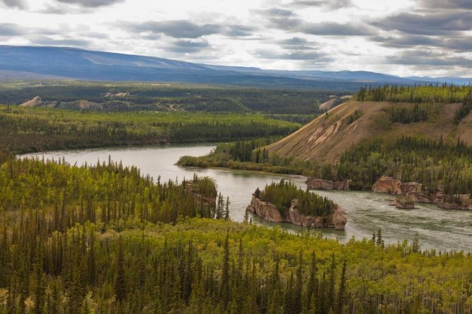 Full Day Arctic Circle Experience with Lunch - A Complete Guide to the Full Day Arctic Circle Experience with Lunch