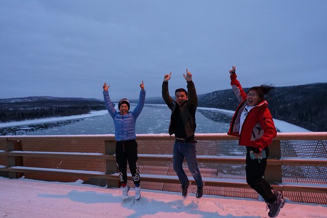 Full Day Arctic Circle Tour - Who Will Love This Tour?