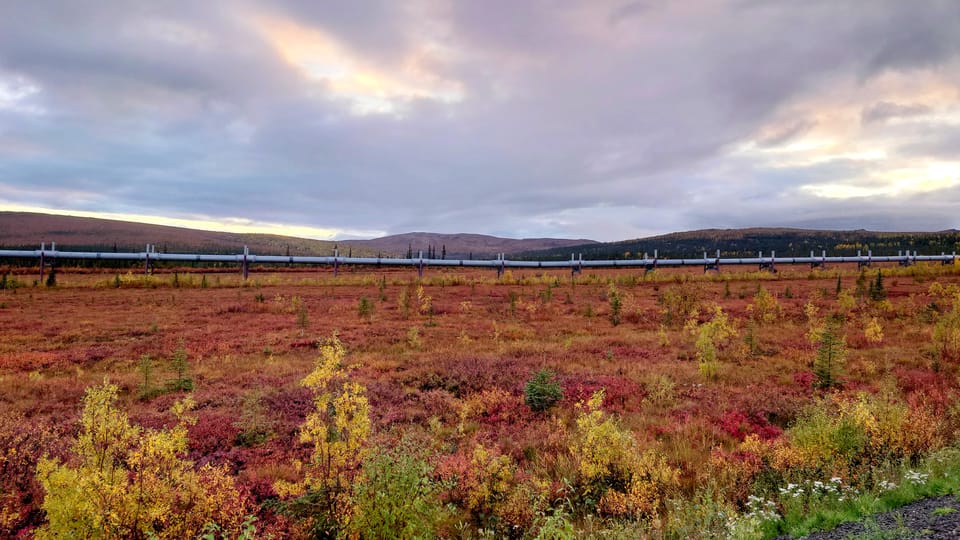 Full Day Arctic Circle Tour - What We Think You’ll Love