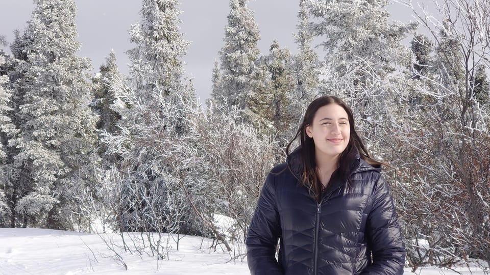Full Day Arctic Circle Tour - Who Is This Tour Best For?