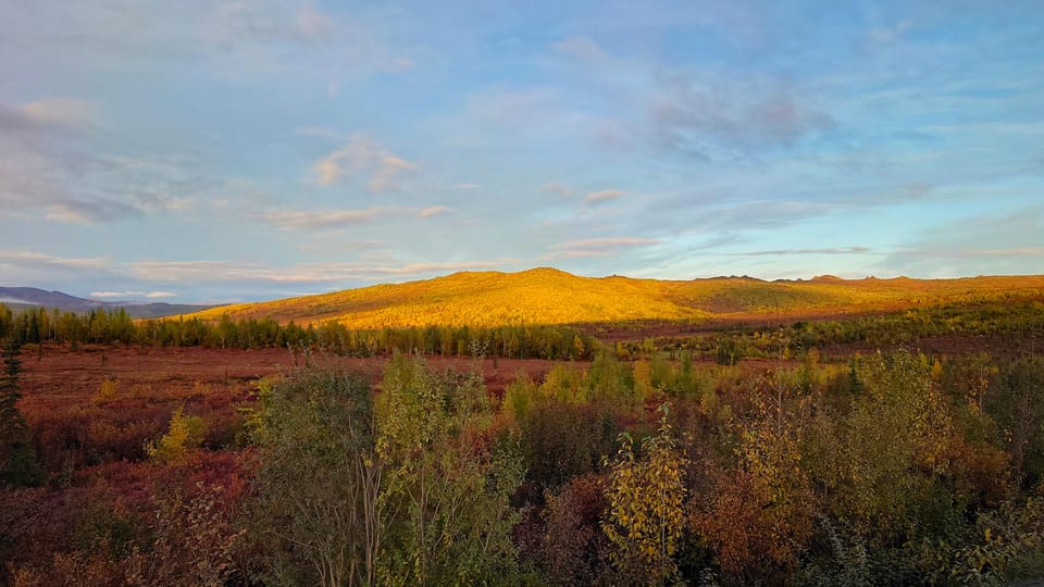 Full Day Arctic Circle Tour - Final Thoughts
