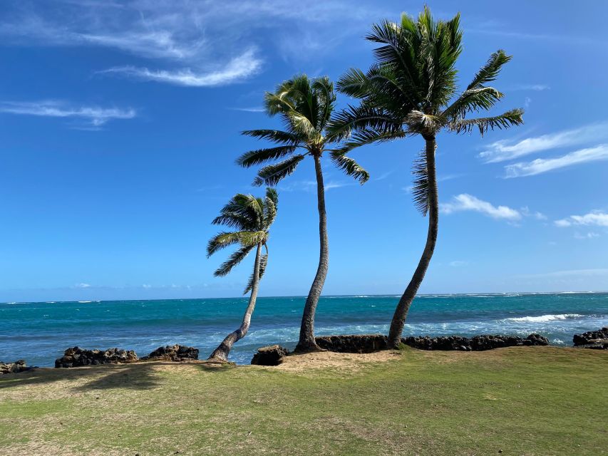 Full Day Best of Oahu Sightseeing Tour - What to Bring and Practical Tips